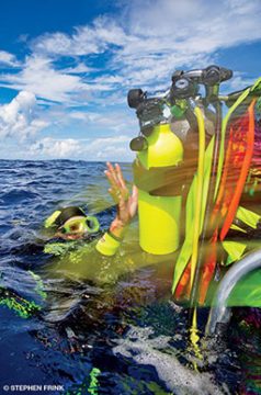 Head Injuries and Diving - Divers Alert Network