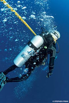 Your Lungs and Diving - Divers Alert Network