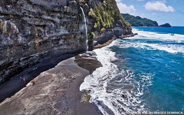 Dominica Topside - Divers Alert Network