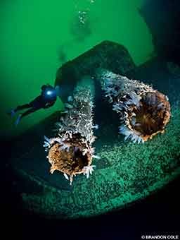 Diving on Sunshine - Divers Alert Network