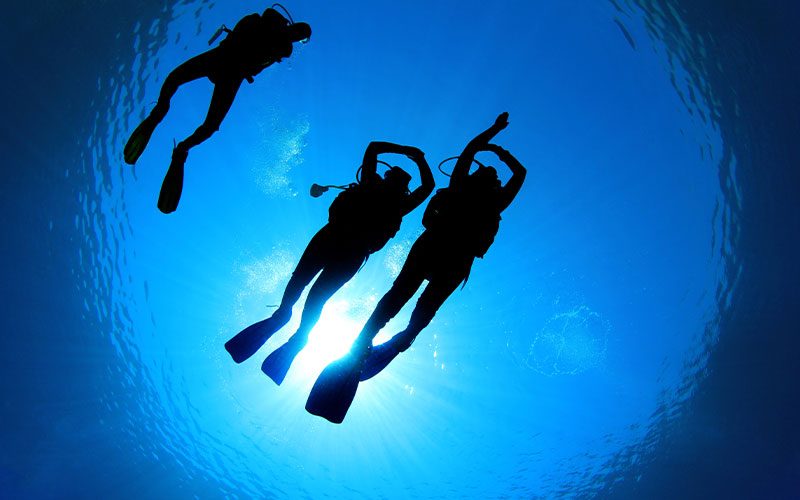 Be Informed and Stay Calm - Divers Alert Network