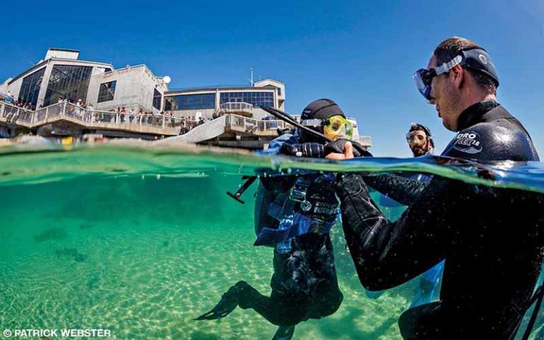 Days of Discovery at Monterey Bay Aquarium - Divers Alert Network