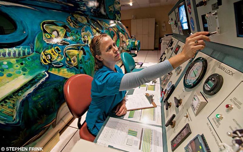 DCS Ahead - Divers Alert Network