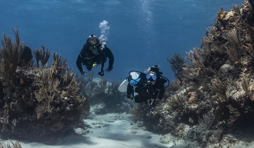 Ears & Diving - Divers Alert Network