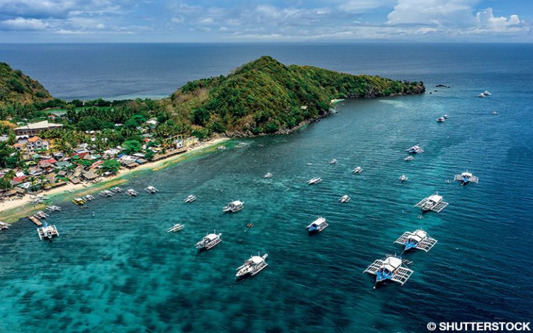 Dauin Diversity - Divers Alert Network