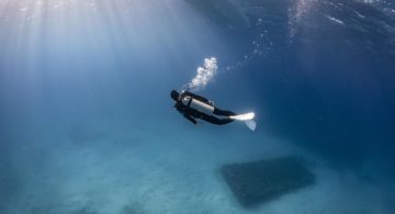 Incident Insights - Divers Alert Network