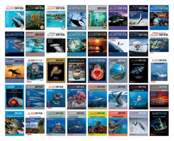 Ten Years of the New Alert Diver - Divers Alert Network
