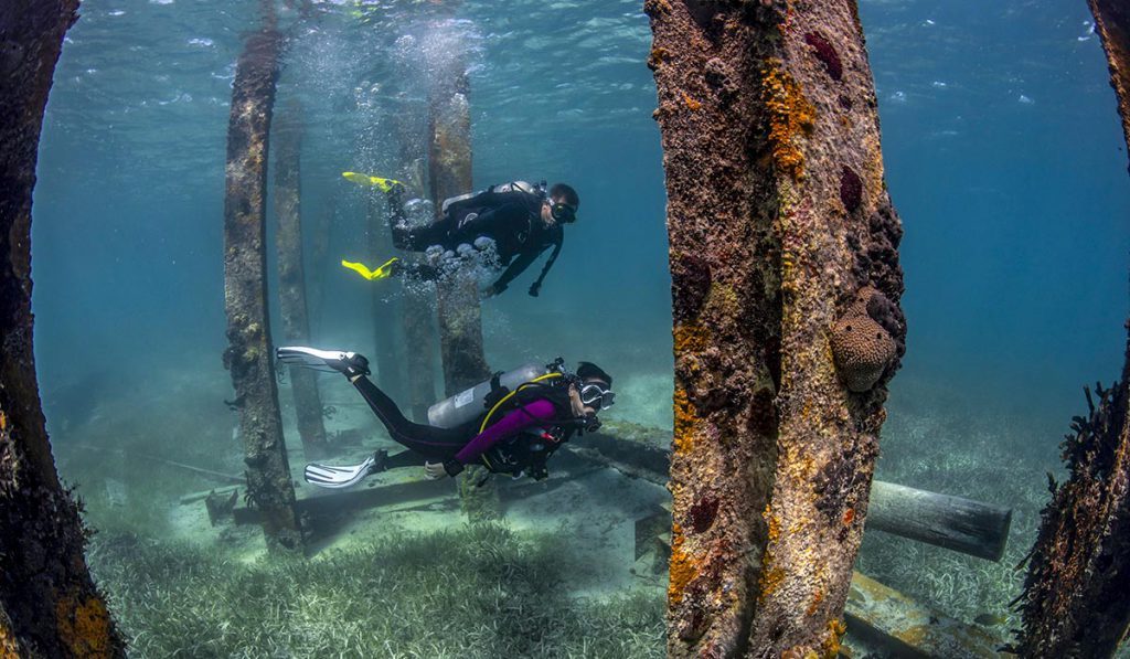 Use Peer Pressure for Good - Divers Alert Network