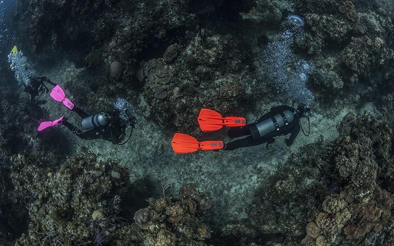 Liability Insurance - Divers Alert Network