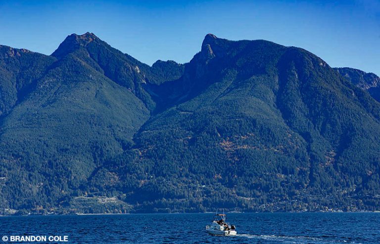 Howe Sound Photo Gallery - Divers Alert Network