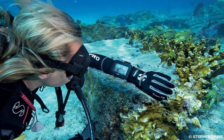 The Many Factors in Decompression Stress - Divers Alert Network