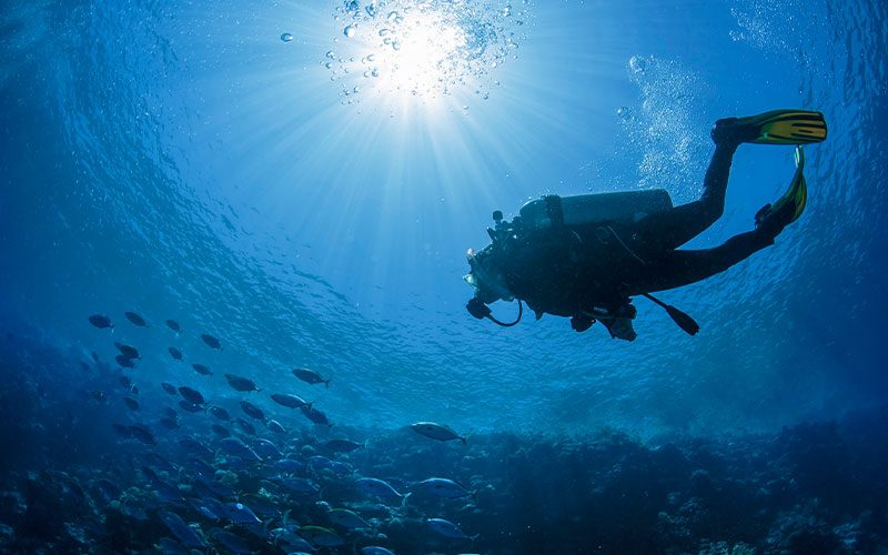 The Cause of Skin Mottling After Diving - Divers Alert Network