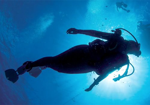 Health Status - Divers Alert Network