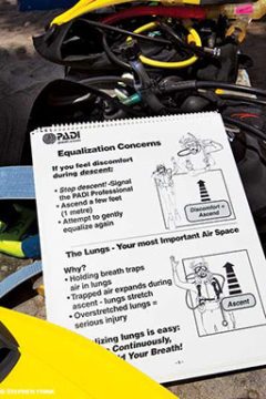 A Culture of Dive Safety - Divers Alert Network