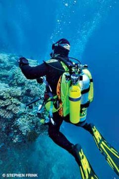 Air and a Spare - Divers Alert Network