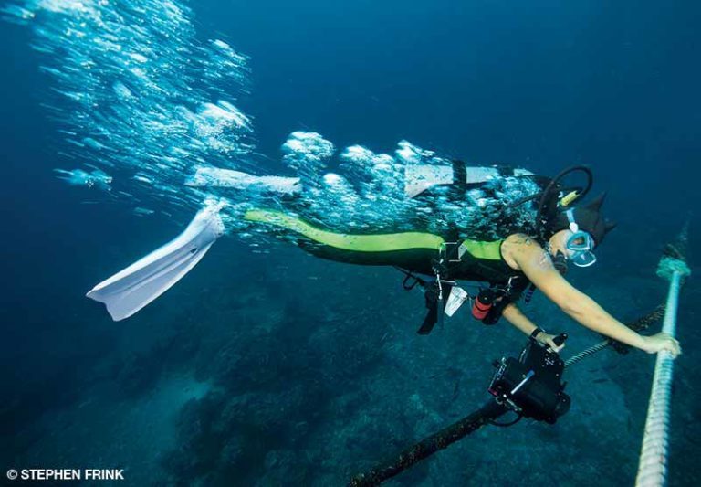 Calling the Dive - Divers Alert Network