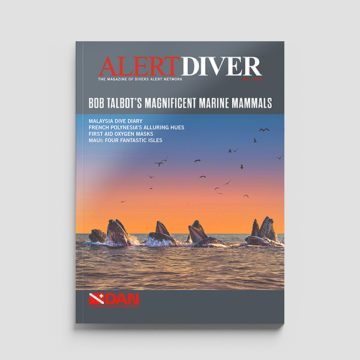Read Current and Past Issues of Alert Diver - Divers Alert Network