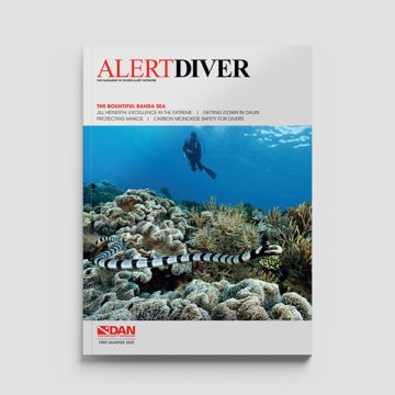 Read Current and Past Issues of Alert Diver - Divers Alert Network