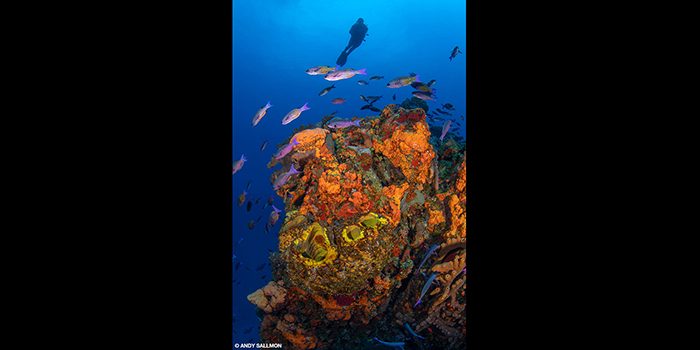 Saba - Divers Alert Network