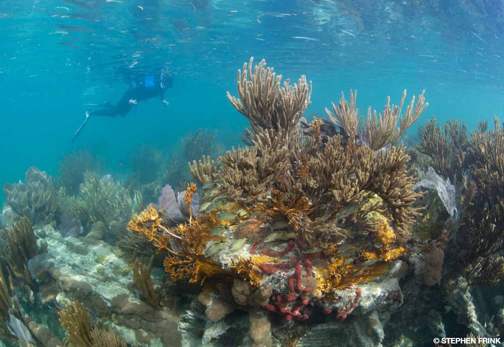 Florida Keys History Underwater - Divers Alert Network