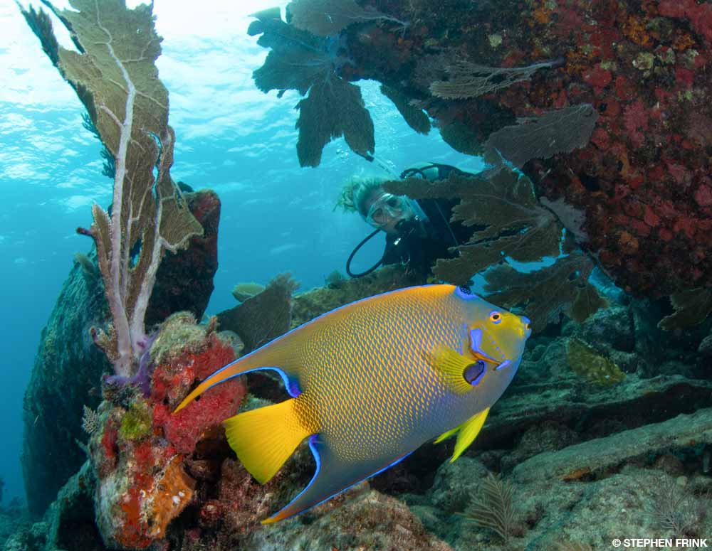 Florida Keys History Underwater - Divers Alert Network