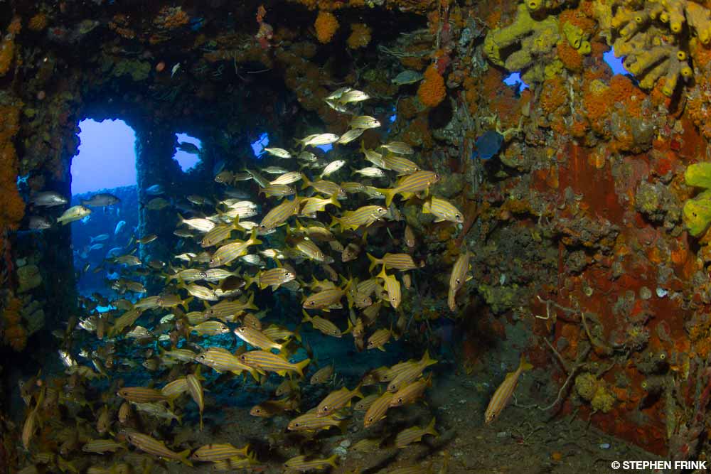 Florida Keys History Underwater - Divers Alert Network