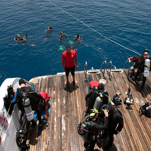 Dive Operations - Divers Alert Network
