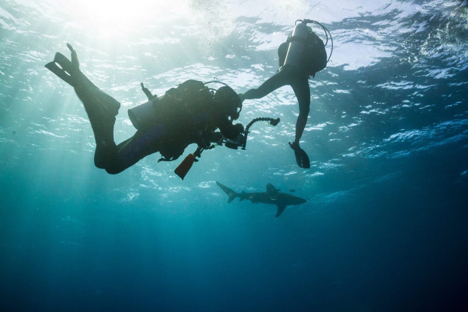 Diving Incident Reports Archive - Divers Alert Network