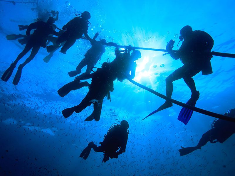 Professional Programs - Divers Alert Network