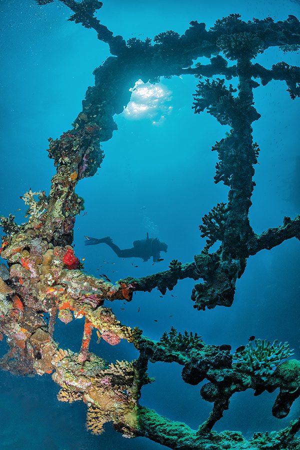 The Last Voyage Divers Alert Network The Last Voyage Divers Alert Network