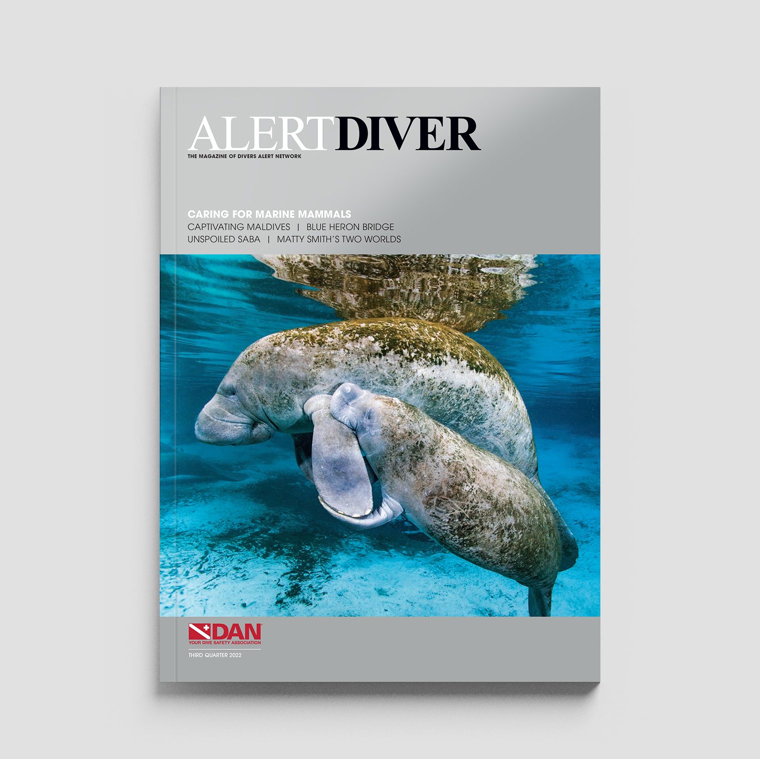 Read Current and Past Issues of Alert Diver - Divers Alert Network