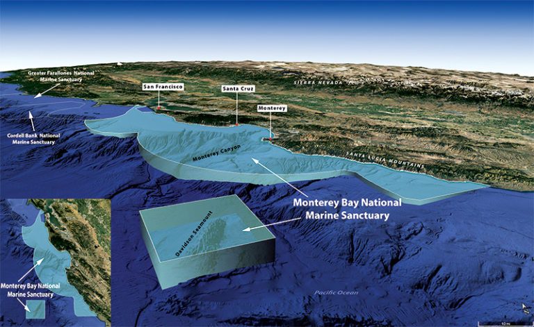 Monterey Bay - Divers Alert Network