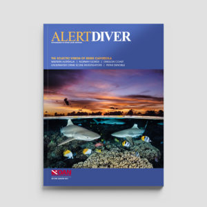 Read Current and Past Issues of Alert Diver - Divers Alert Network