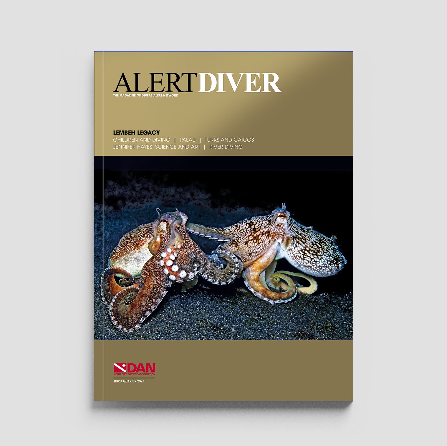 Read Current and Past Issues of Alert Diver - Divers Alert Network