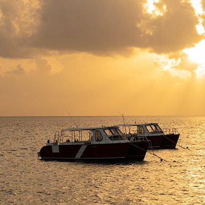 Professional Programs - Divers Alert Network