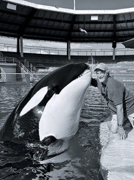 The Life and Legacy of Tokitae - Divers Alert Network