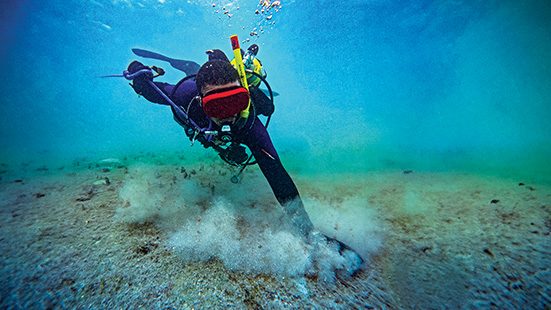 Royal Bermuda Regiment Coast Guard Divers - Divers Alert Network