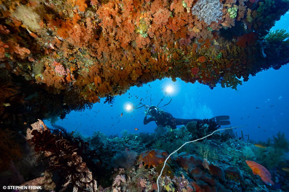 Misool Foundation - Divers Alert Network