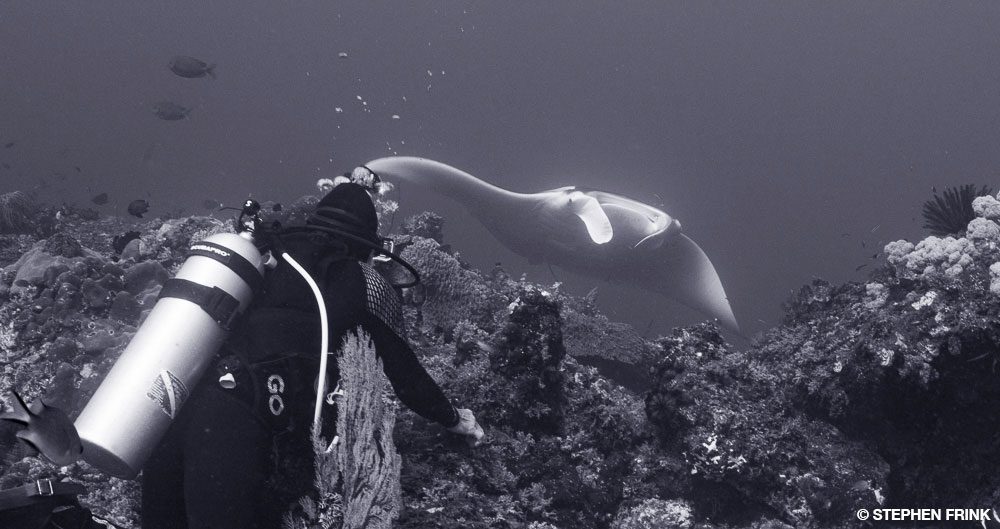 Misool Foundation - Divers Alert Network