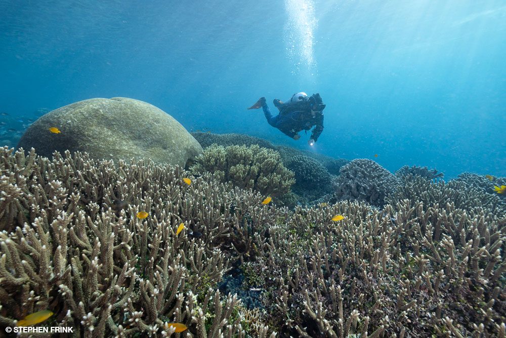 Misool Foundation - Divers Alert Network